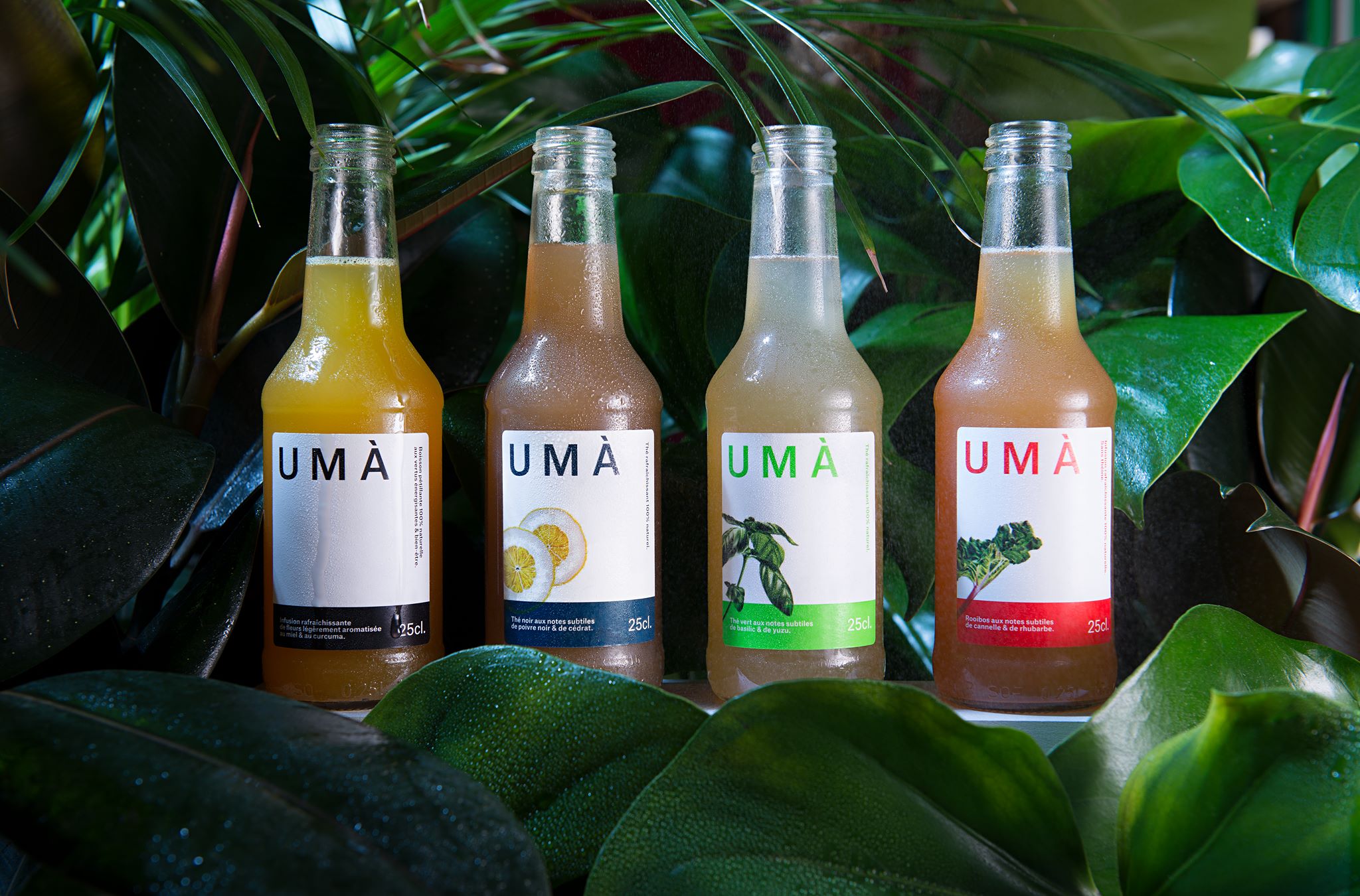 UMÀ, la boisson naturelle unique en son genre - Pari(s) sur la Corse